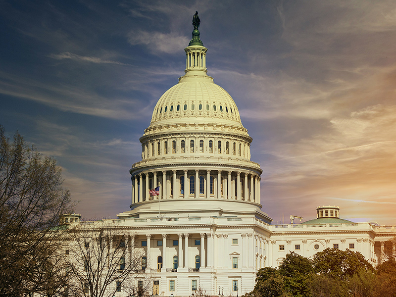 2021: o que mudou desde a concepção do governo dos EUA? – Fulbright ...